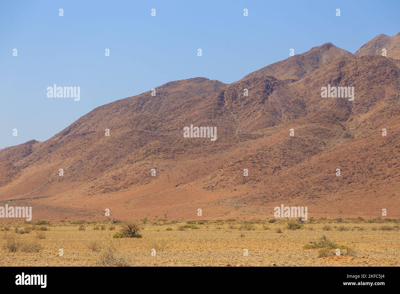 Namibian landscape along the gravel road. Yellow ground and African ...