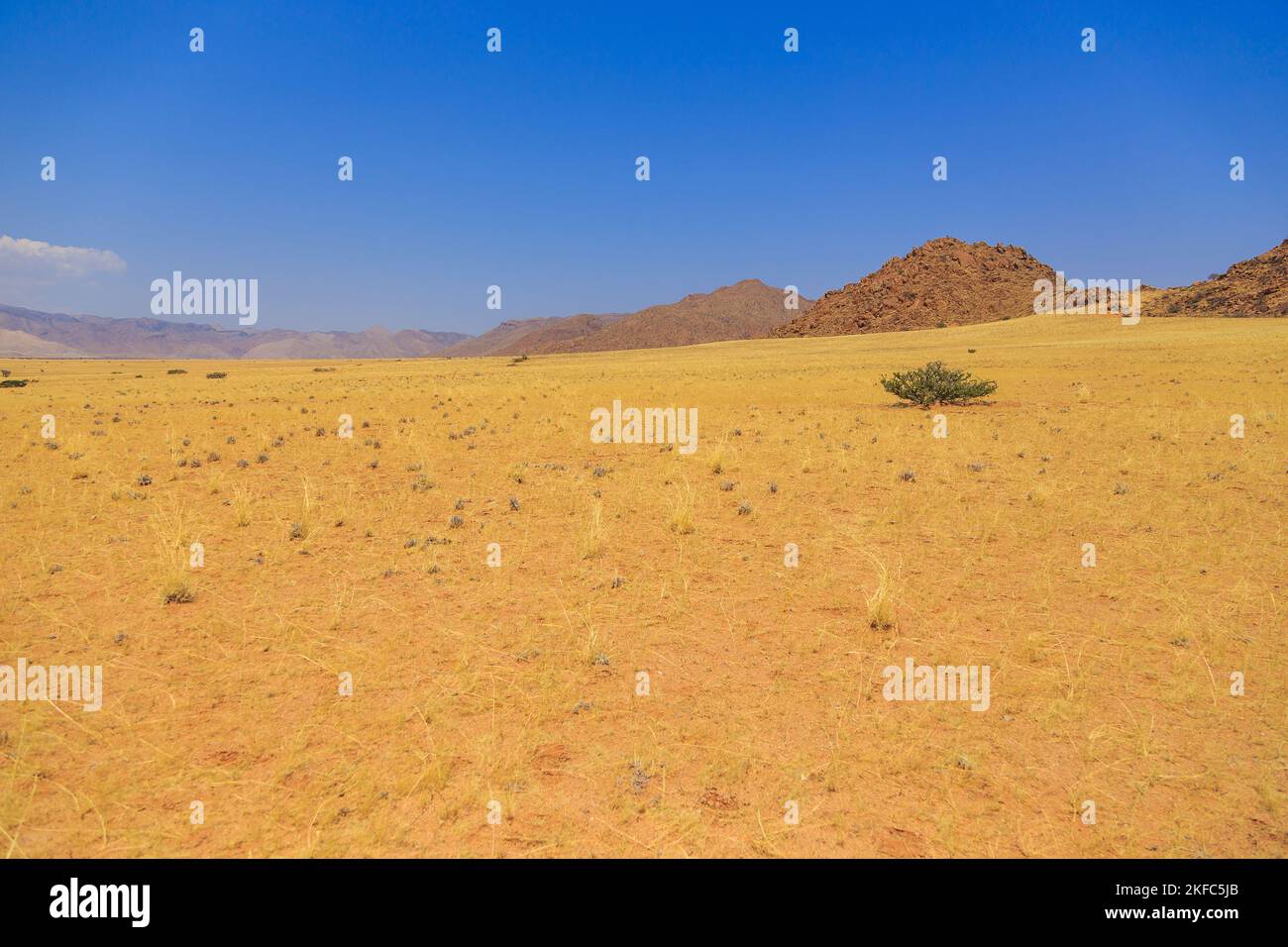 Namibian landscape along the gravel road. Yellow ground and African ...