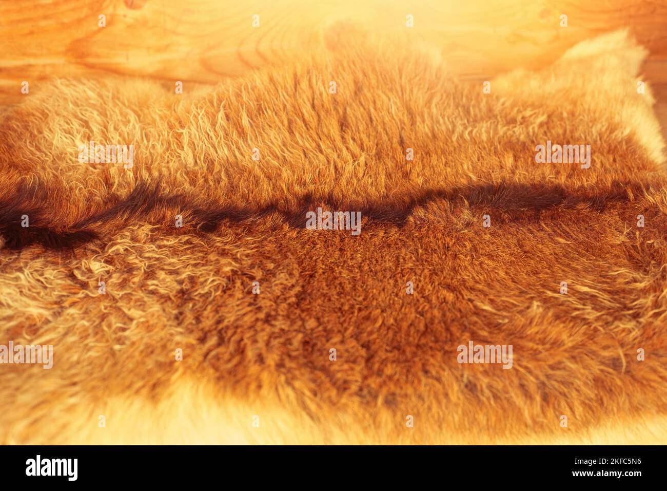 Goat hair texture hi-res stock photography and images - Alamy