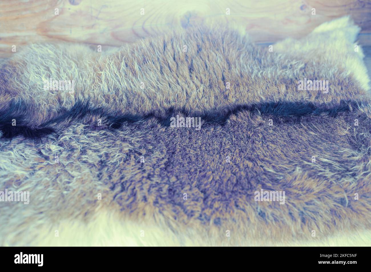 Goat hair texture hi-res stock photography and images - Alamy