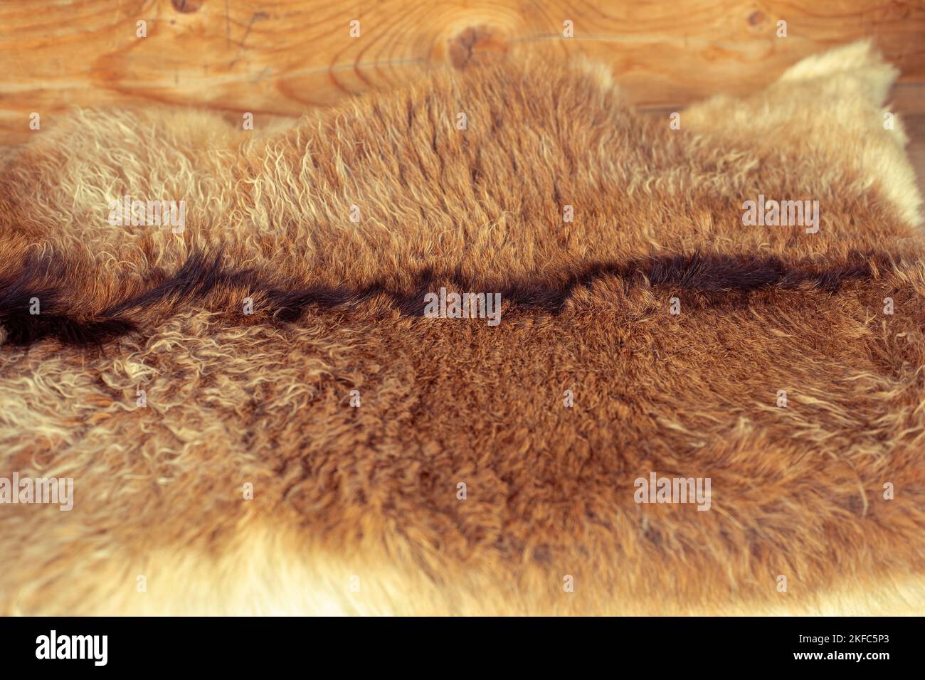 Goat hair texture hi-res stock photography and images - Alamy