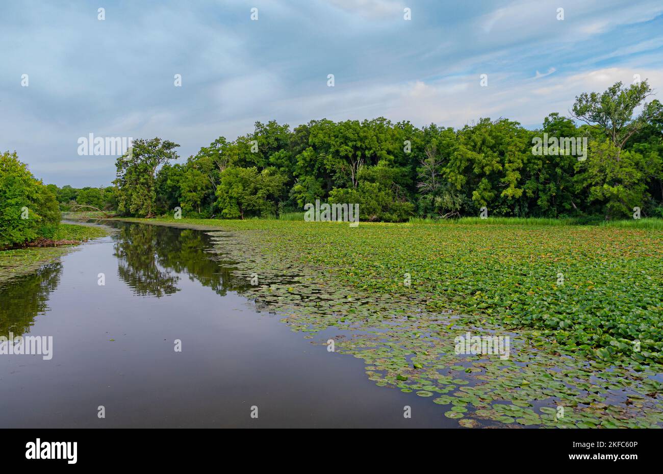 Lake state fish illinois hi-res stock photography and images - Alamy