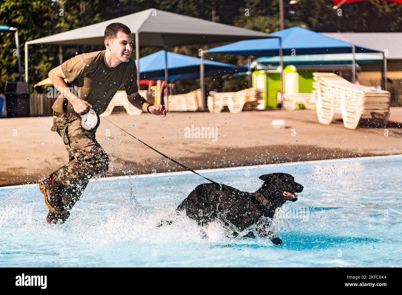 A Military Working Dog and its handler from the 820th Base Defense ...