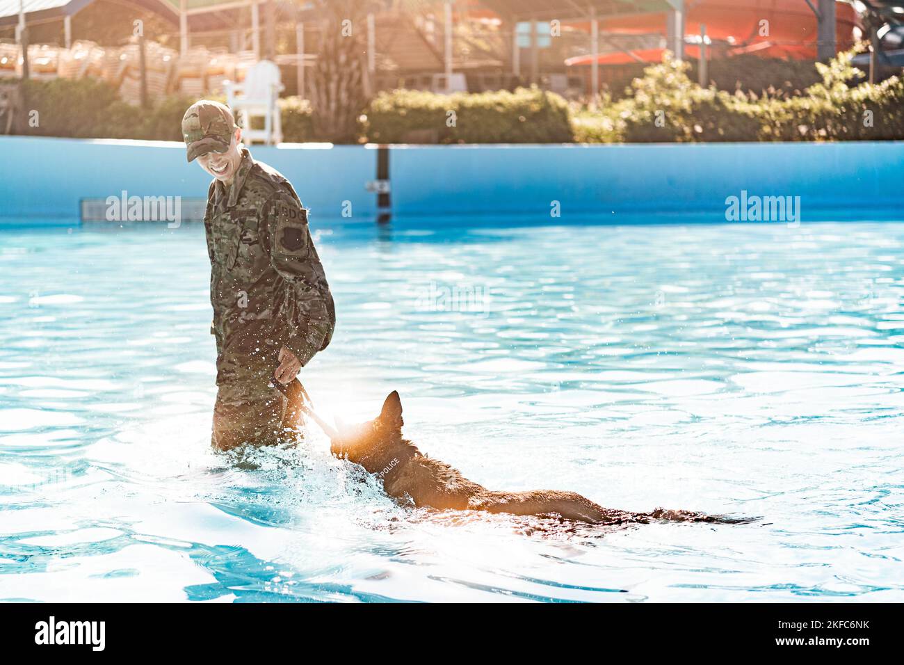 A Military Working Dog from the 820th Base Defense Group, 93rd Air ...