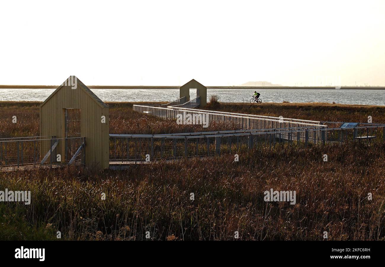 Alviso marina county park hi-res stock photography and images - Alamy