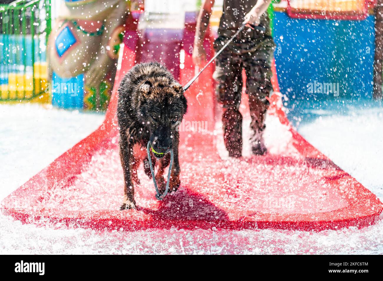 A Military Working Dog from the 820th Base Defense Group, 93rd Air ...