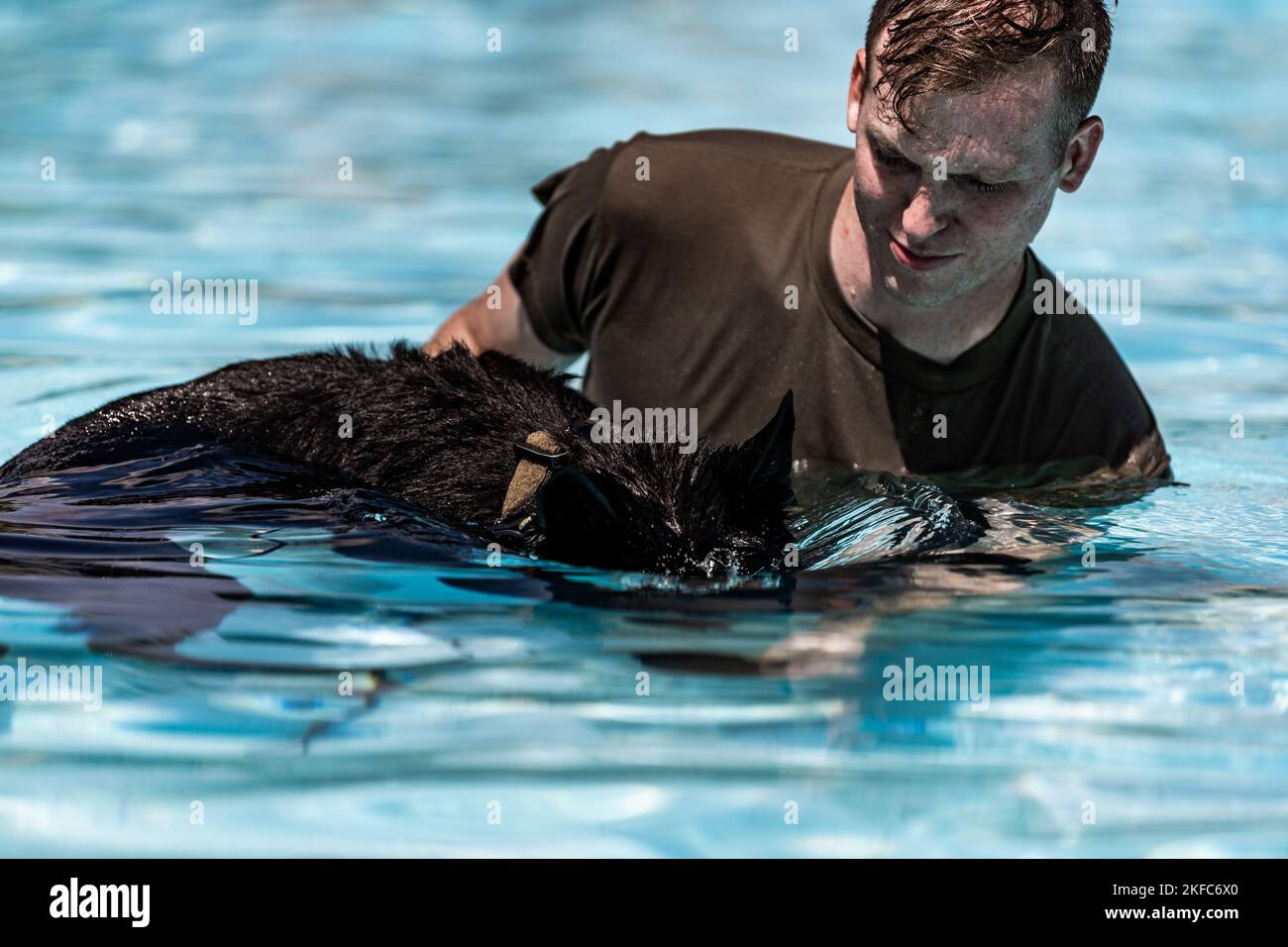 A Military Working Dog from the 820th Base Defense Group, 93rd Air ...