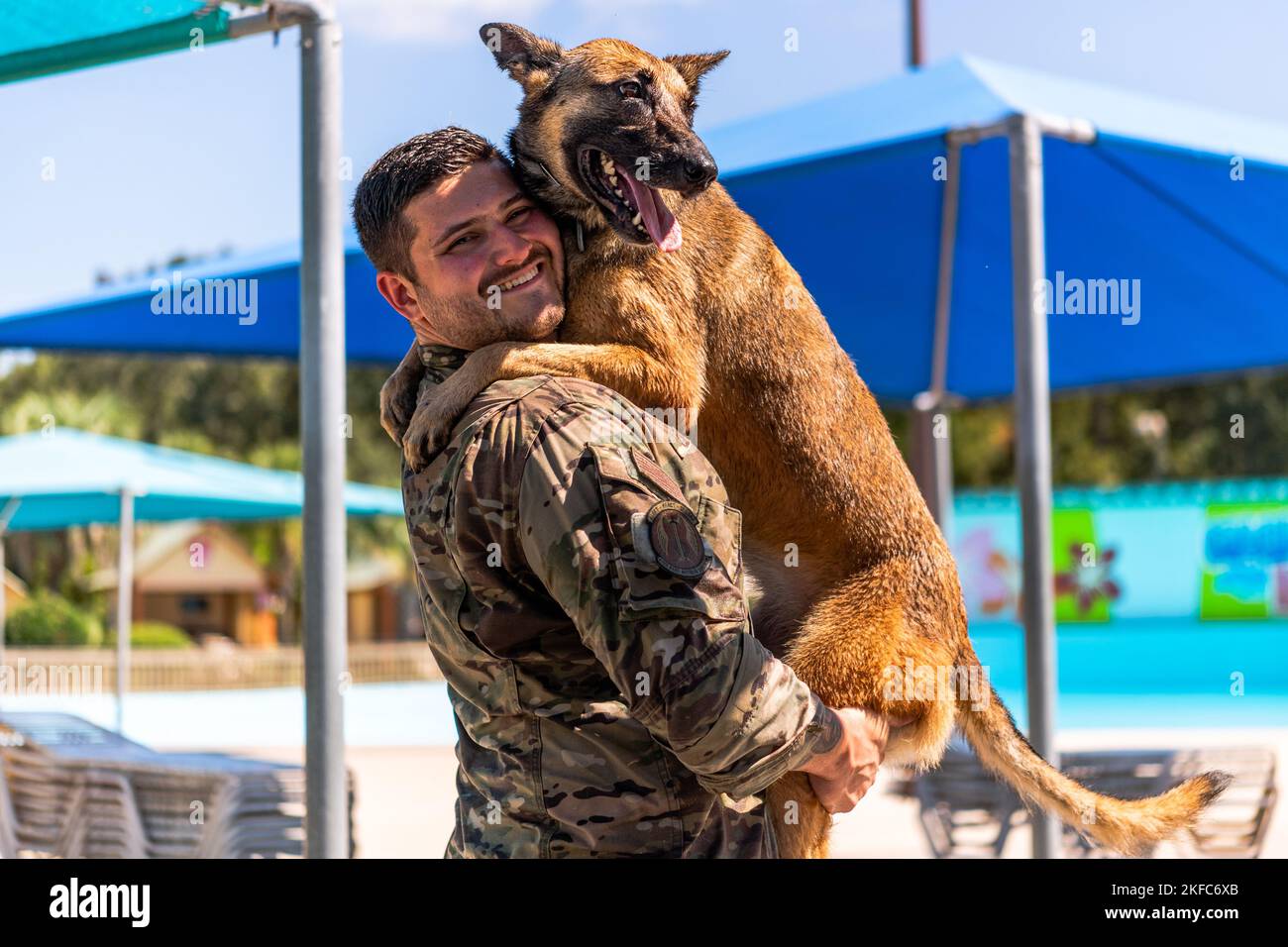 A Military Working Dog and its handler from the 820th Base Defense ...