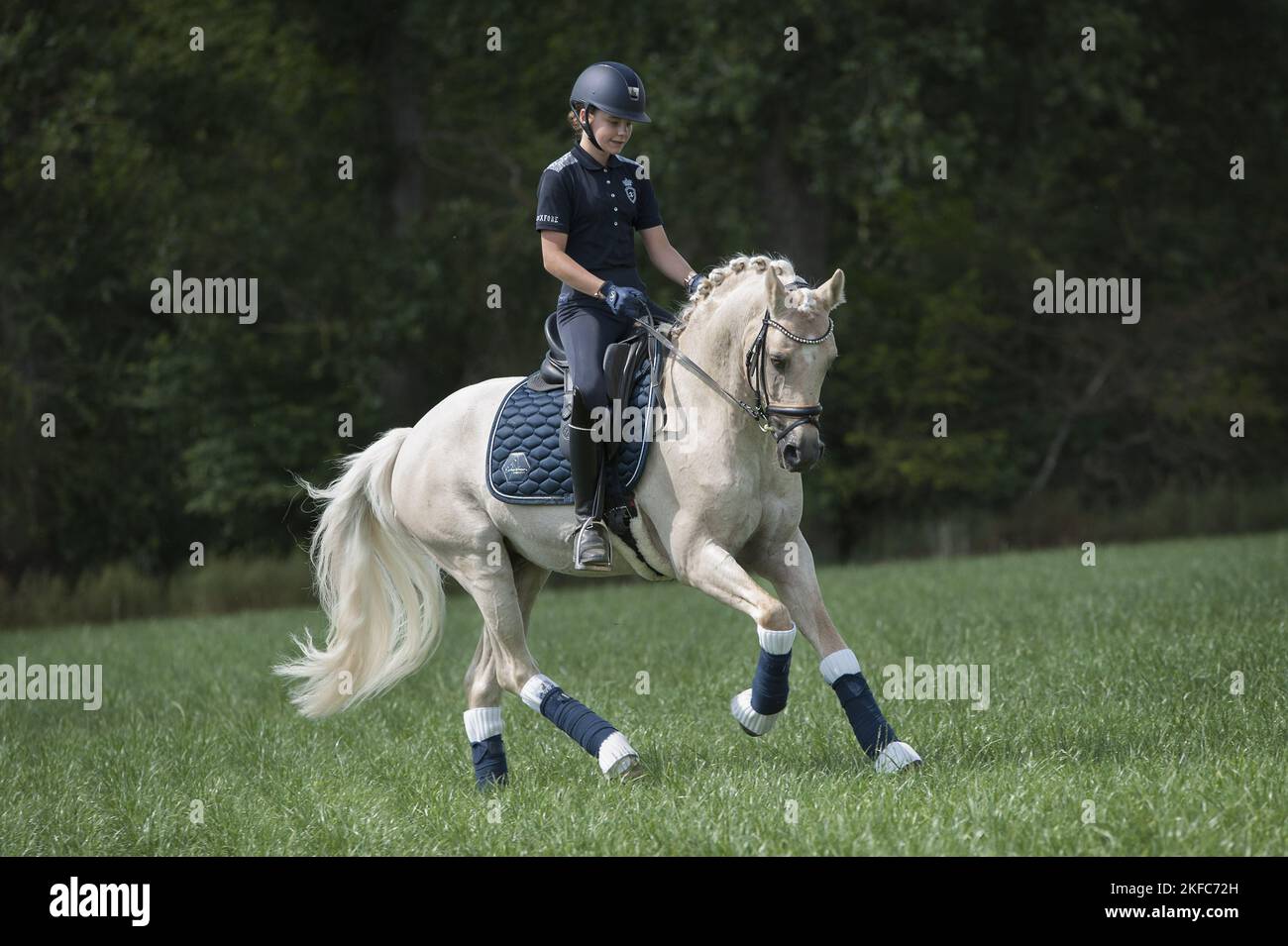 girl rides German Riding Pony Stock Photo - Alamy