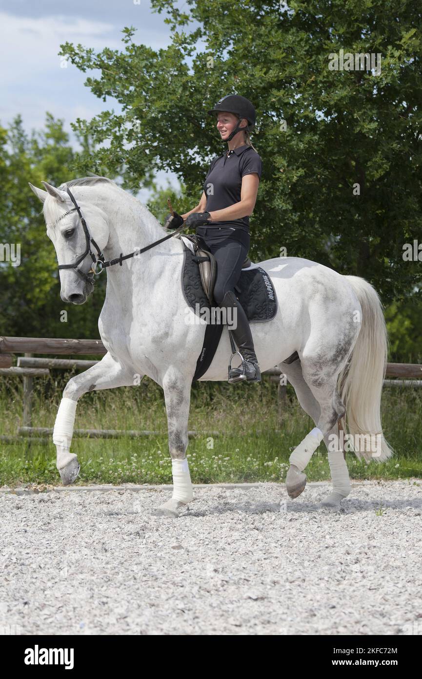 Hanoverian court hi-res stock photography and images - Alamy