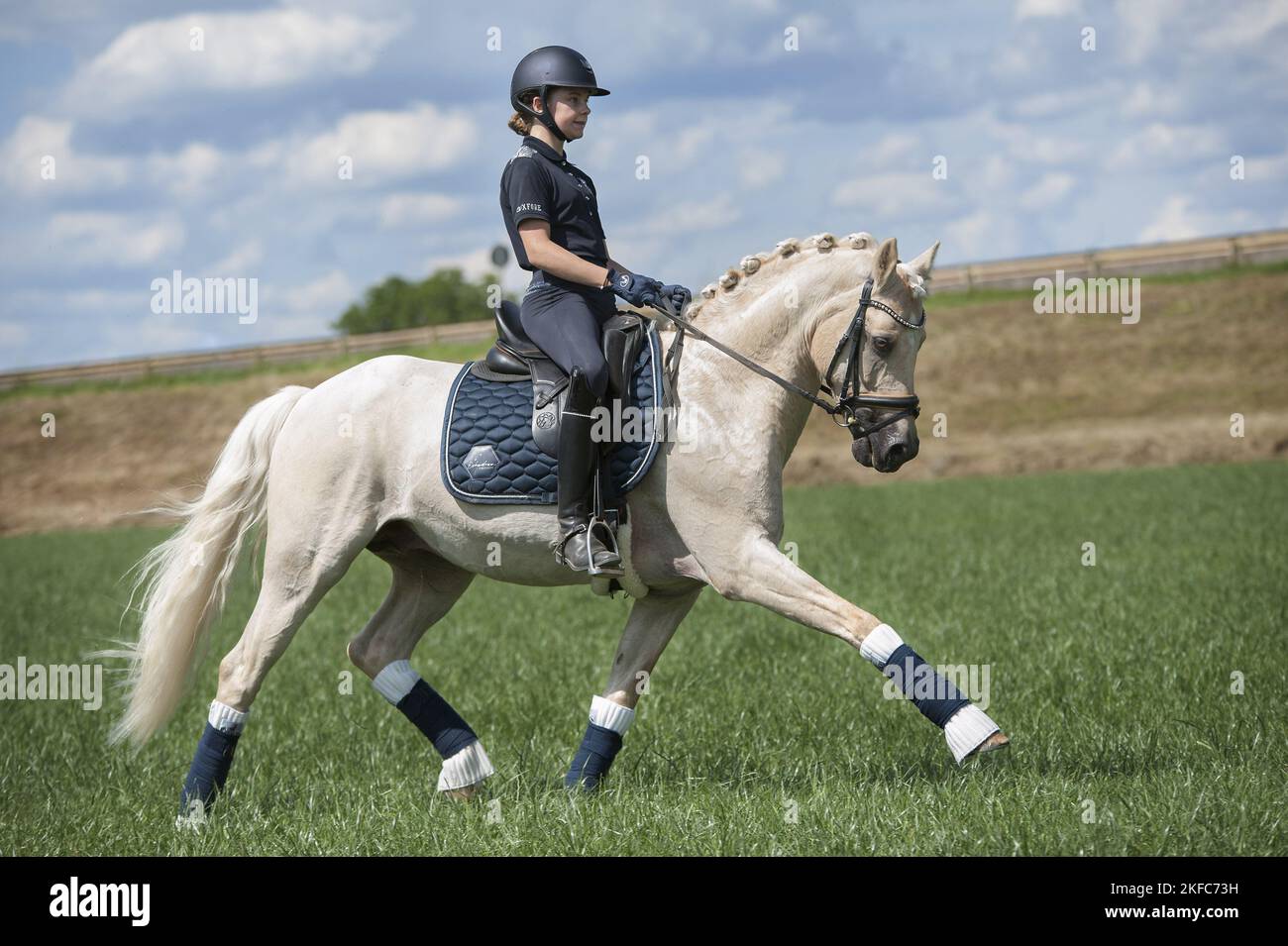 girl rides German Riding Pony Stock Photo - Alamy