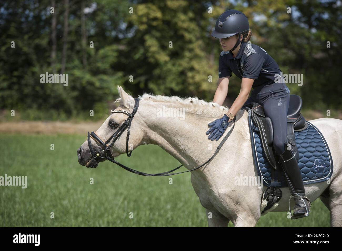 girl rides German Riding Pony Stock Photo - Alamy