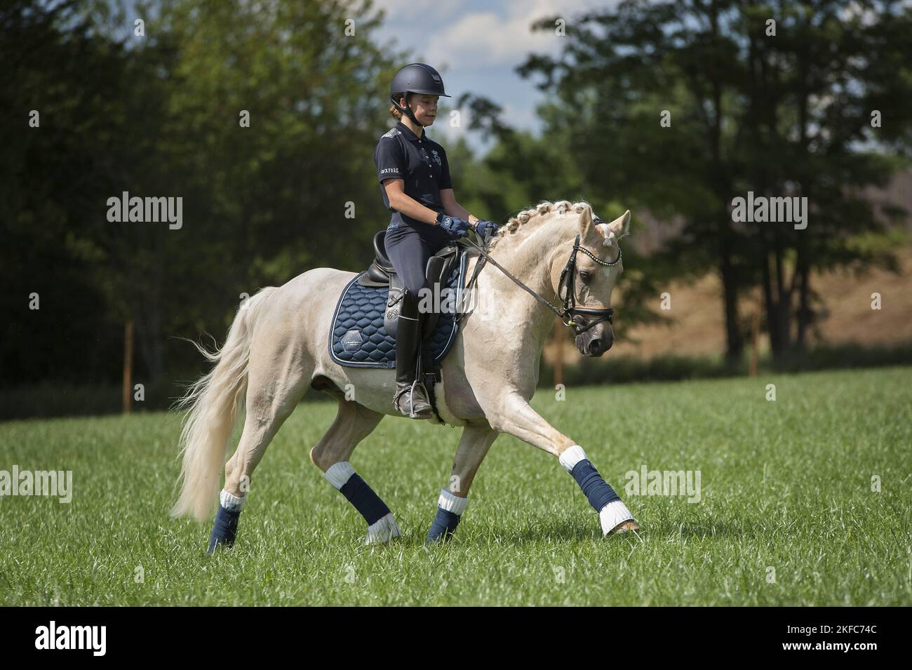 girl rides German Riding Pony Stock Photo - Alamy