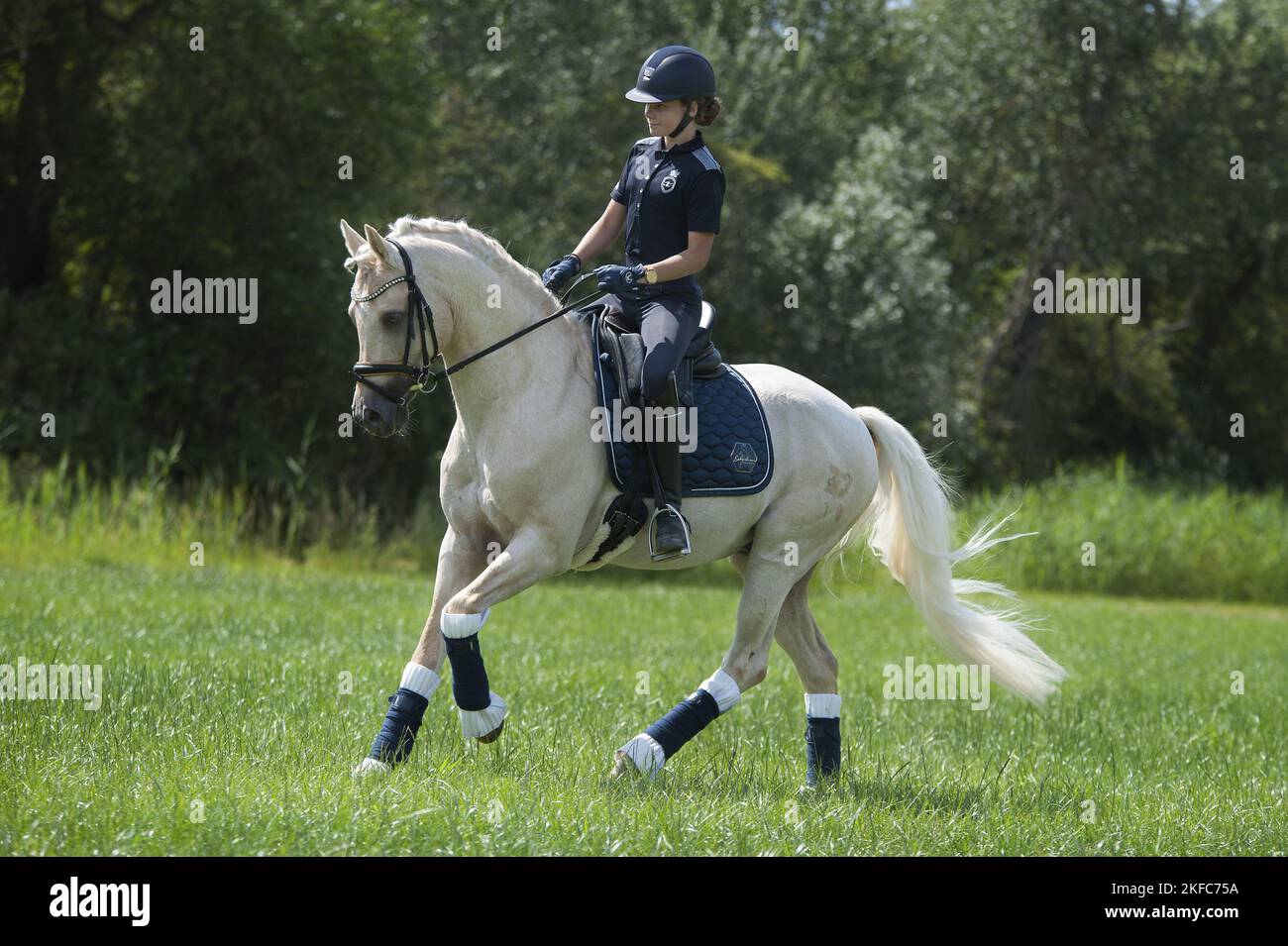 girl rides German Riding Pony Stock Photo - Alamy