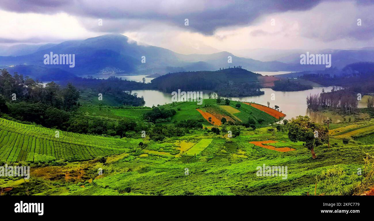 The beautiful view of the river crossing the evergreen tea plantations ...