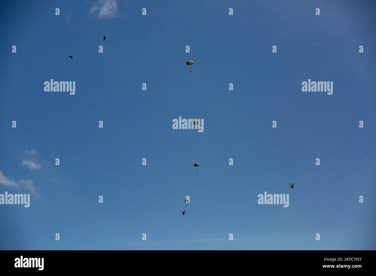 Marines from Brazil, Ecuador, Paraguay, Uruguay, and the United States ...