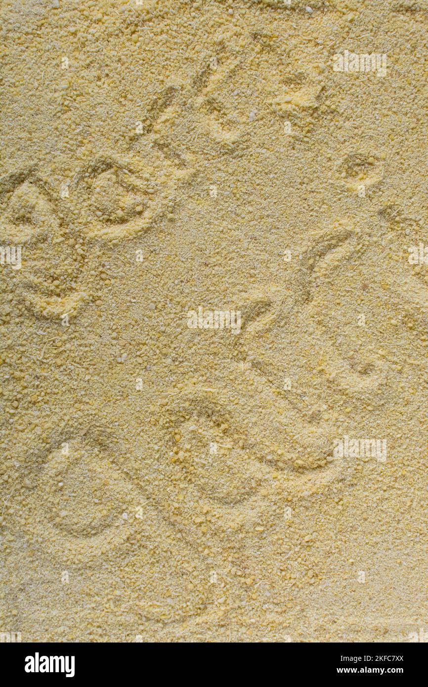Yellow garri, top view of nigerian garri, fried cassava, garri for eba ...