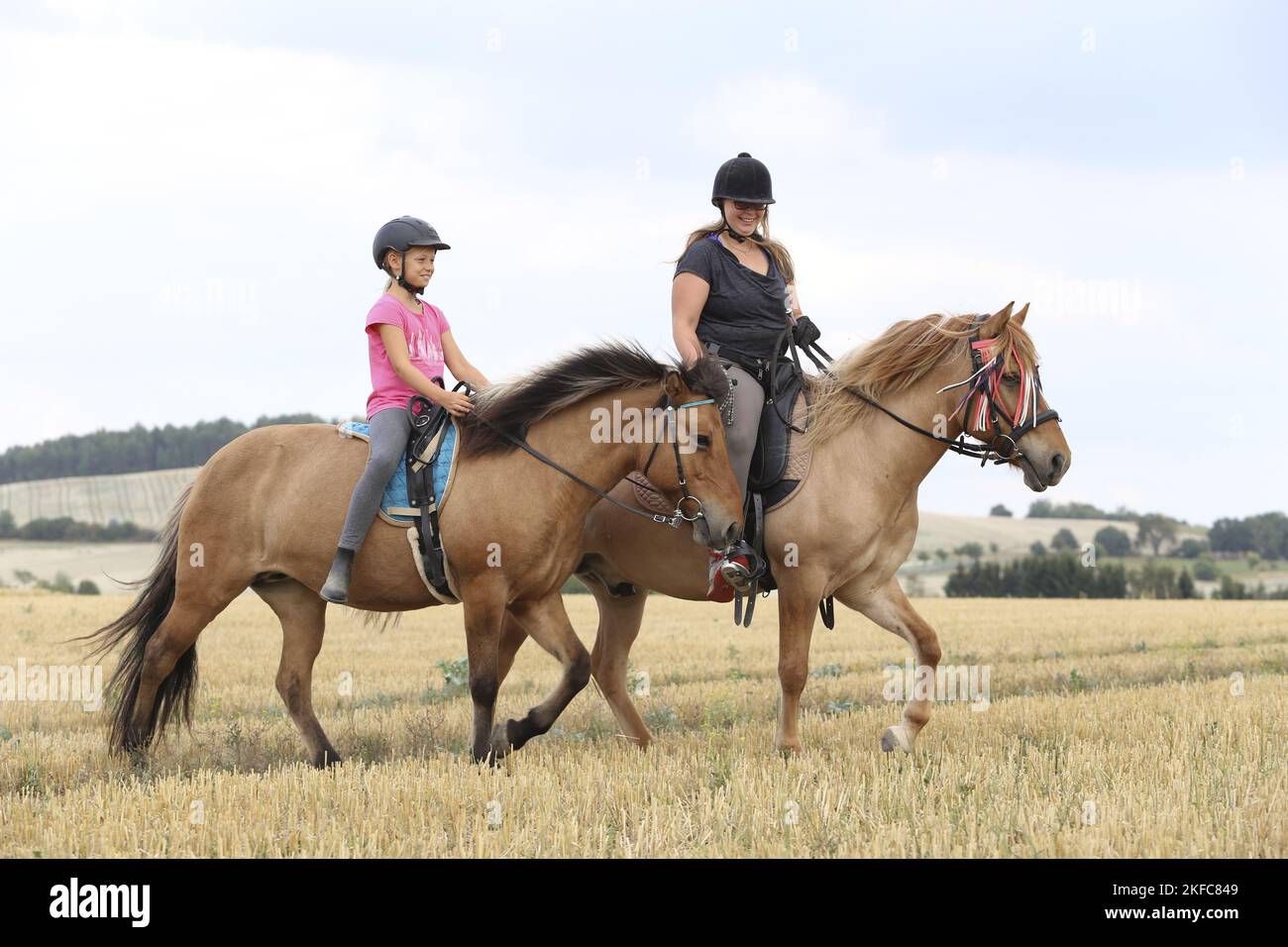 humans with Icelandic Horse Stock Photo - Alamy