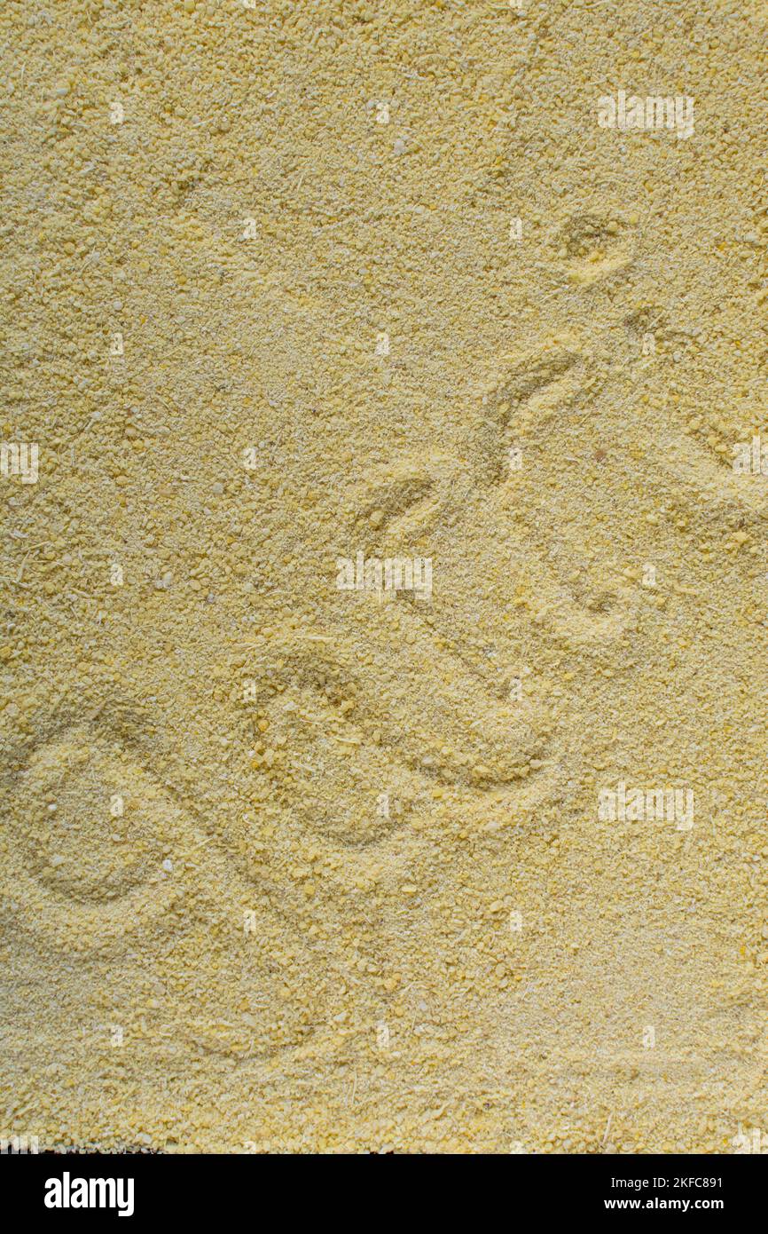 Yellow garri, top view of nigerian garri, fried cassava, garri for eba ...