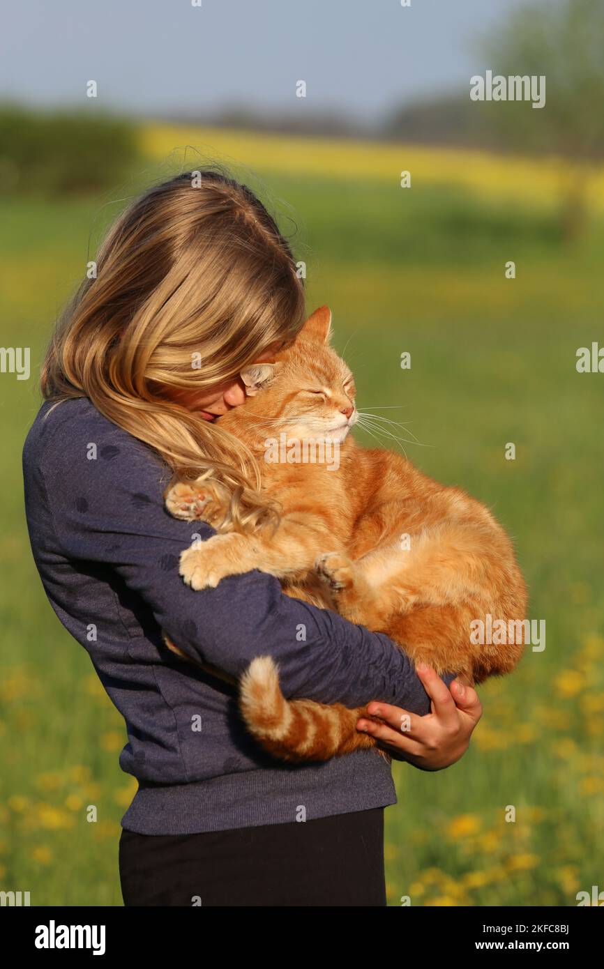 Child lifting cat hi-res stock photography and images - Alamy