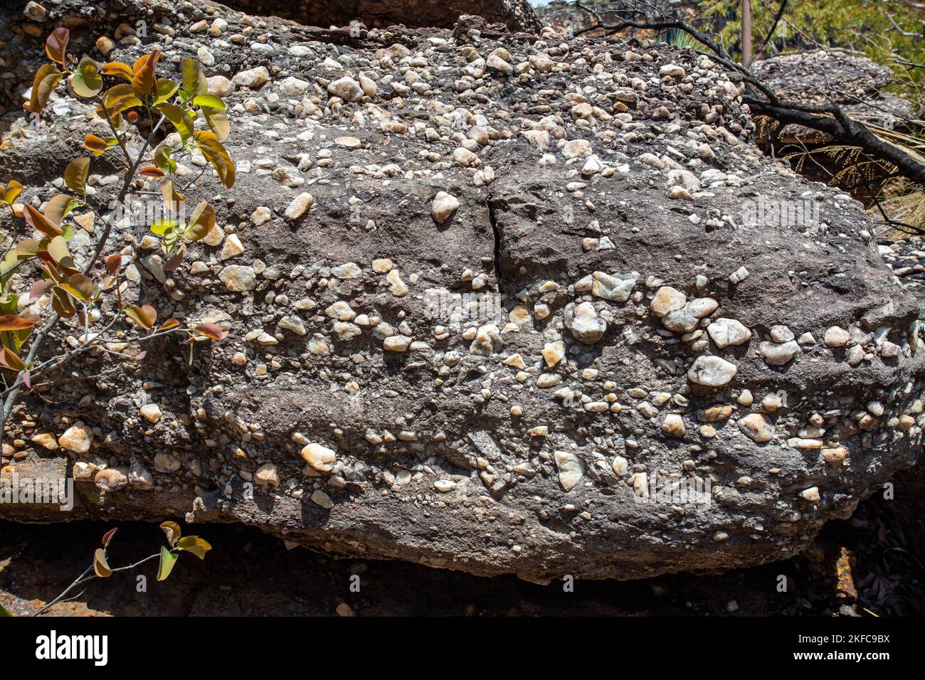 Rocks and embedded sandstone deposited by slow rivers and floods ...