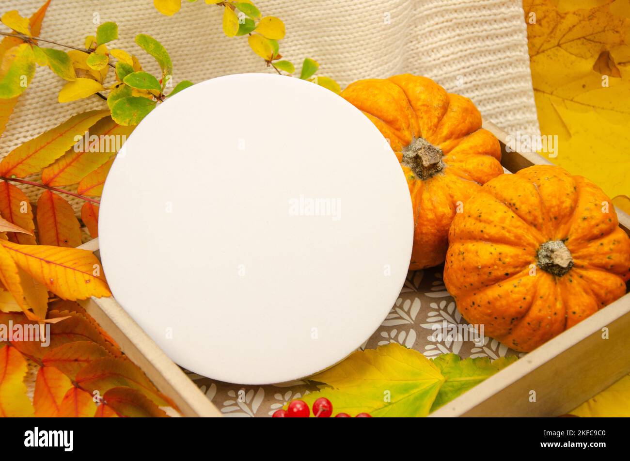 Close-up white round template round mockup on a background in yellow ...