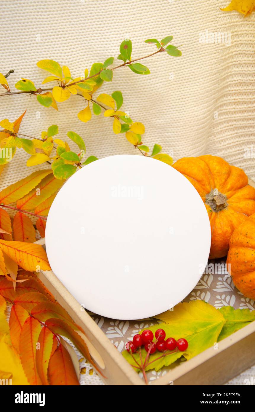 White round template round mockup on a background in yellow orange red ...