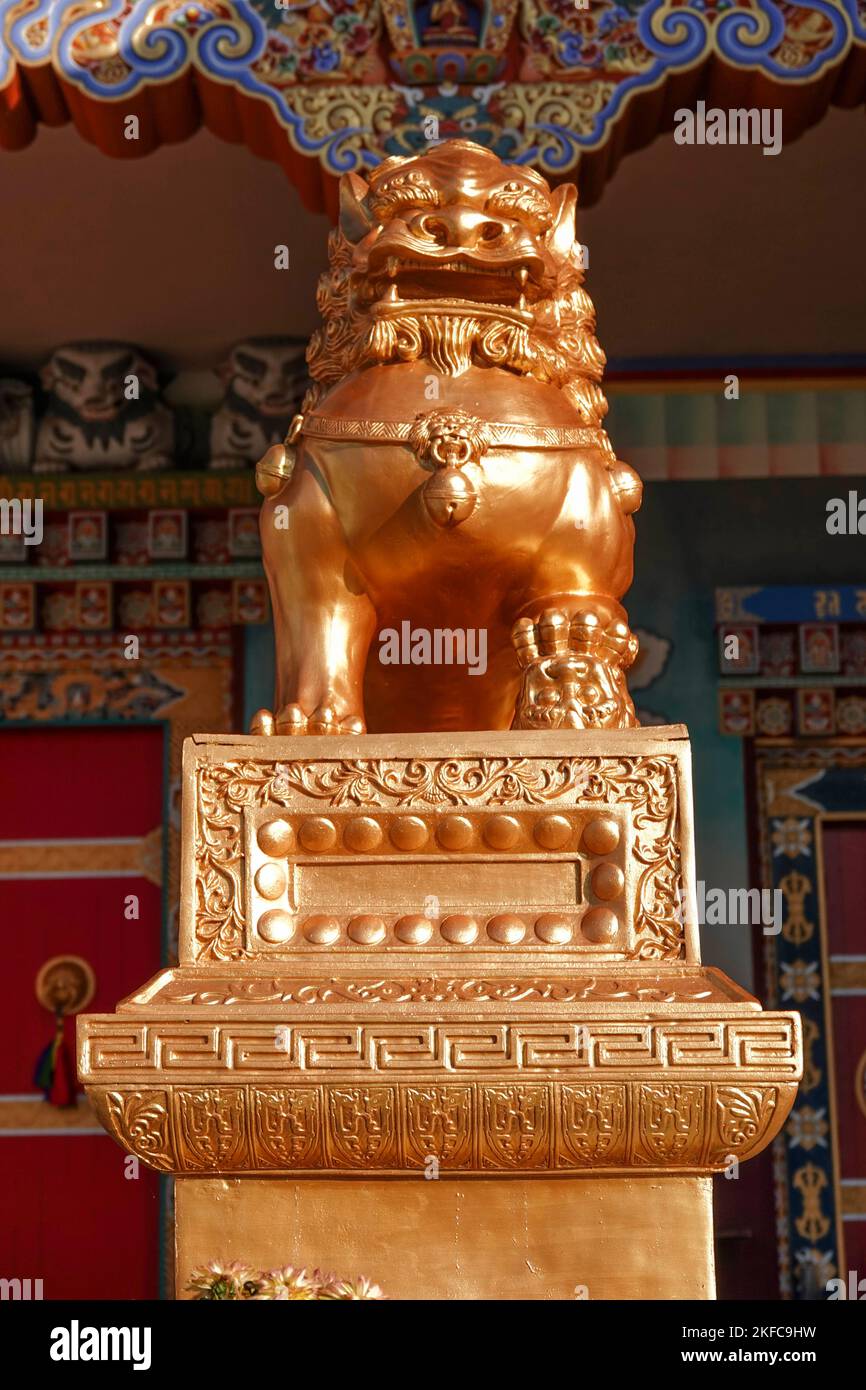 A vertical shot of a golden Fu dog statue outside a temple Stock Photo ...