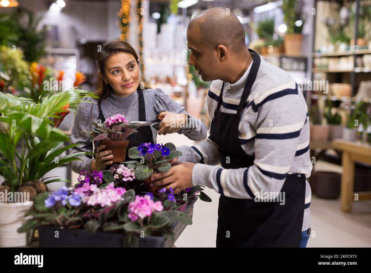 Flower shop employees take care of flowers together Stock Photo - Alamy