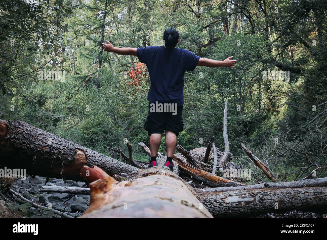 A back view of young man with stretched arms standing on fallen tree ...