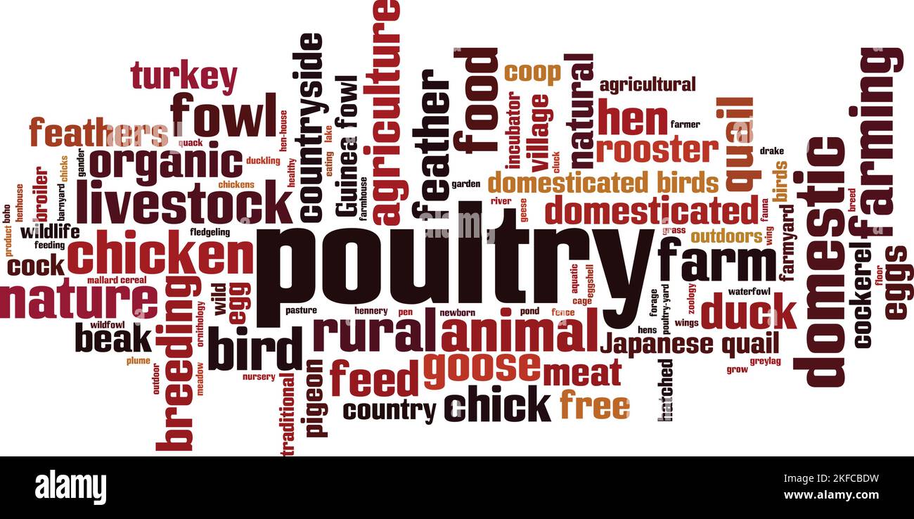 Poultry word cloud concept. Collage made of words about poultry. Vector ...