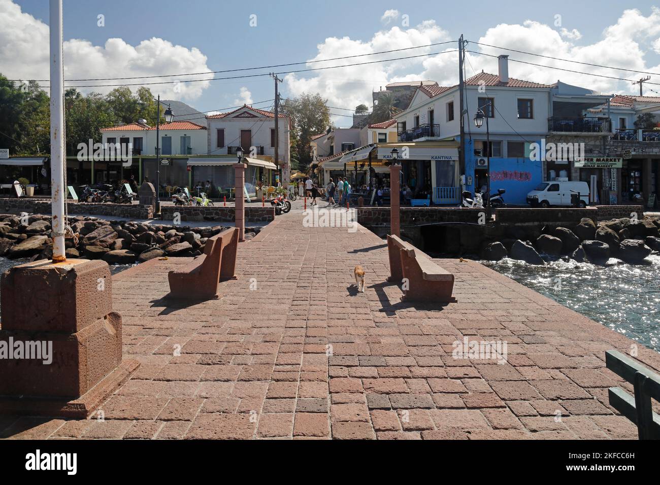 Small cat walking on stone jetty, Petra, Lesbos. October 2022. Autum ...