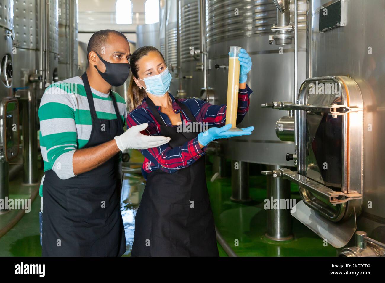 Two winemakers checking winemaking process at factory Stock Photo - Alamy