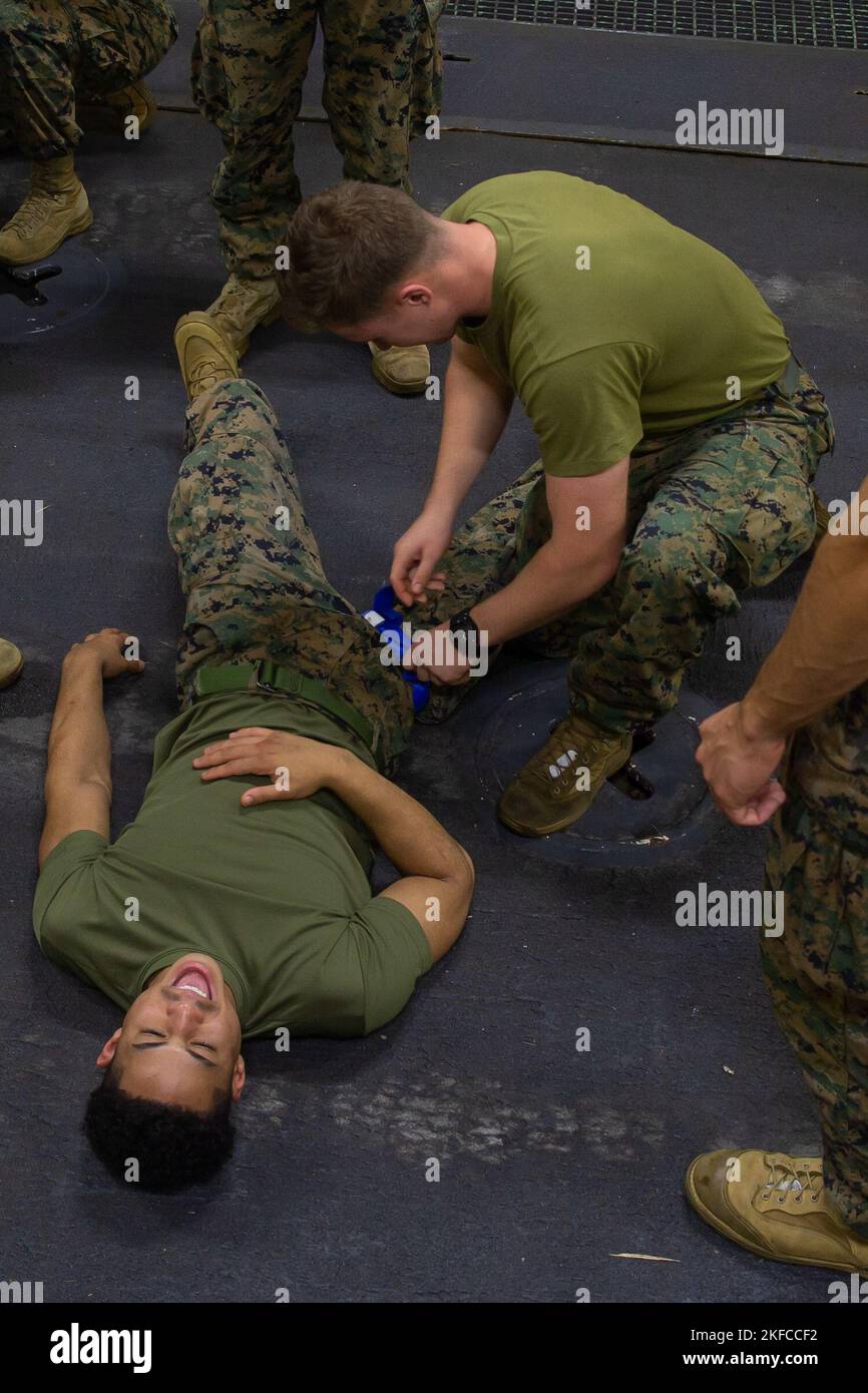 U.S. Marine Corps Lance Cpl. Fernando Espinosa, an intelligence ...