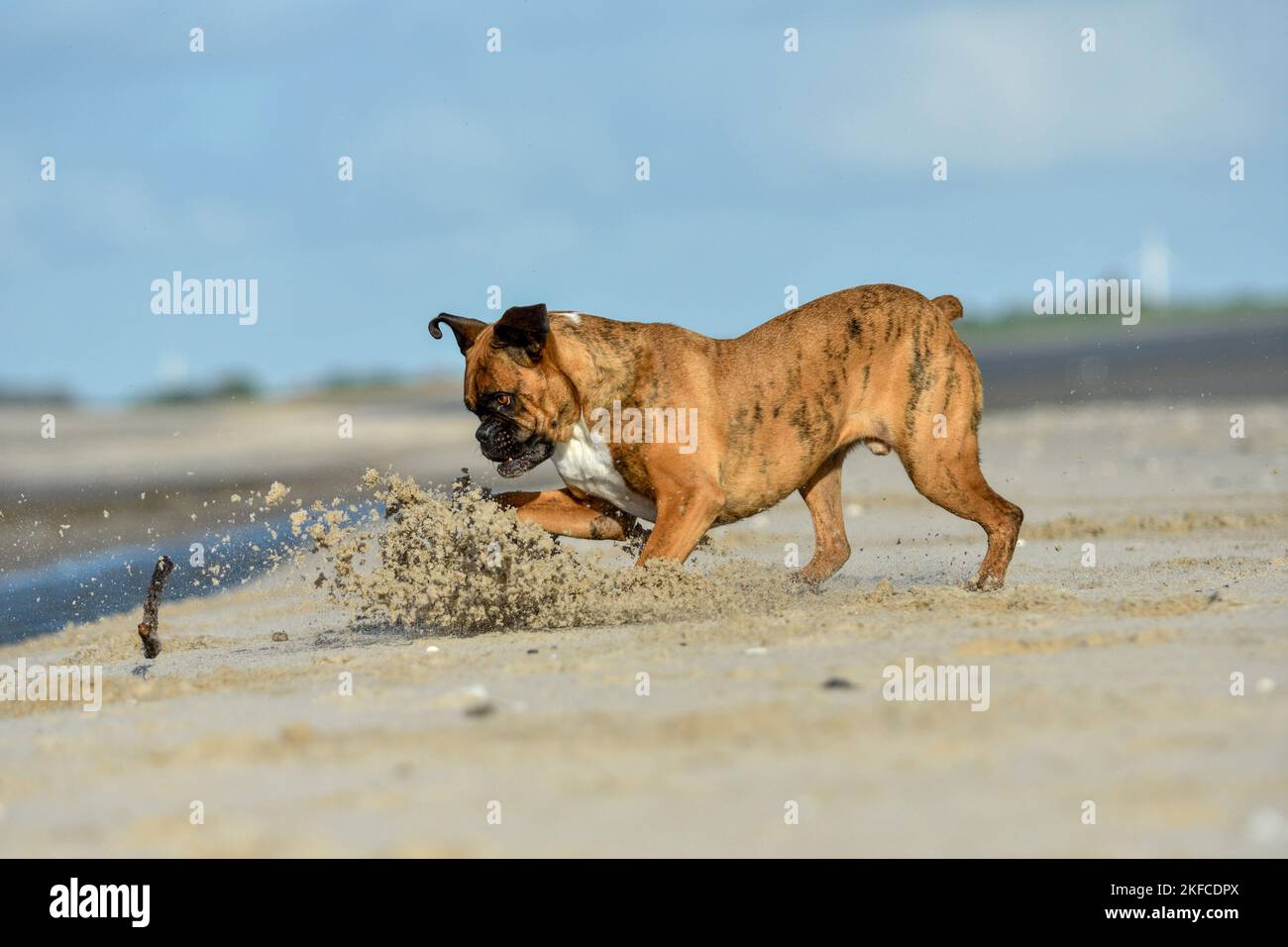 Highlight dig hi-res stock photography and images - Alamy