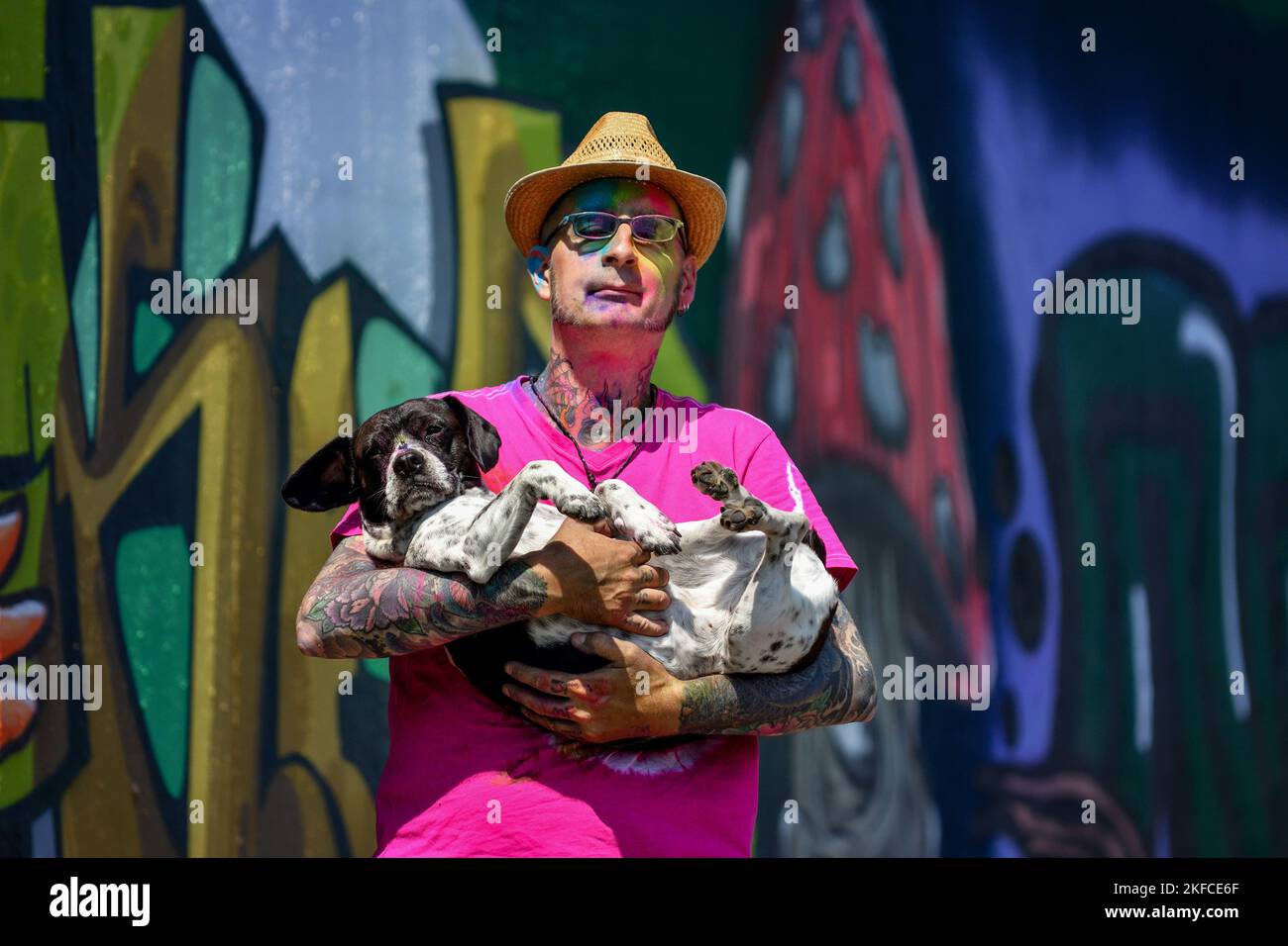 man with Pointer-French-Bulldog-Mongrel Stock Photo - Alamy
