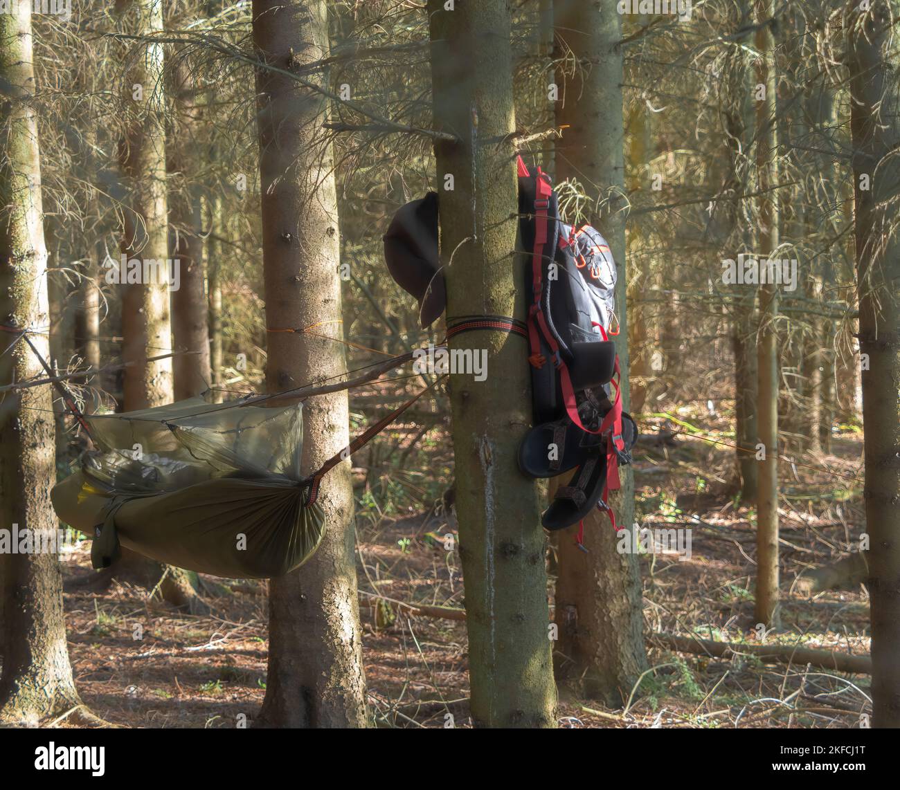 Bushcrafting in germany at summer into the woods Stock Photo - Alamy