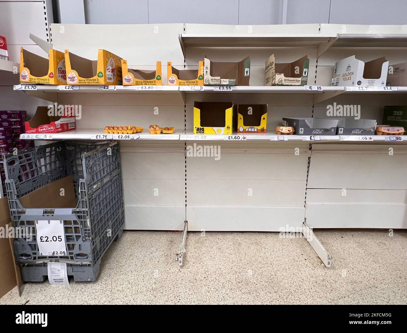 EGG SHORTAGE © Jeff Moore Egg shortage in Tesco in Leytonstone, London ...