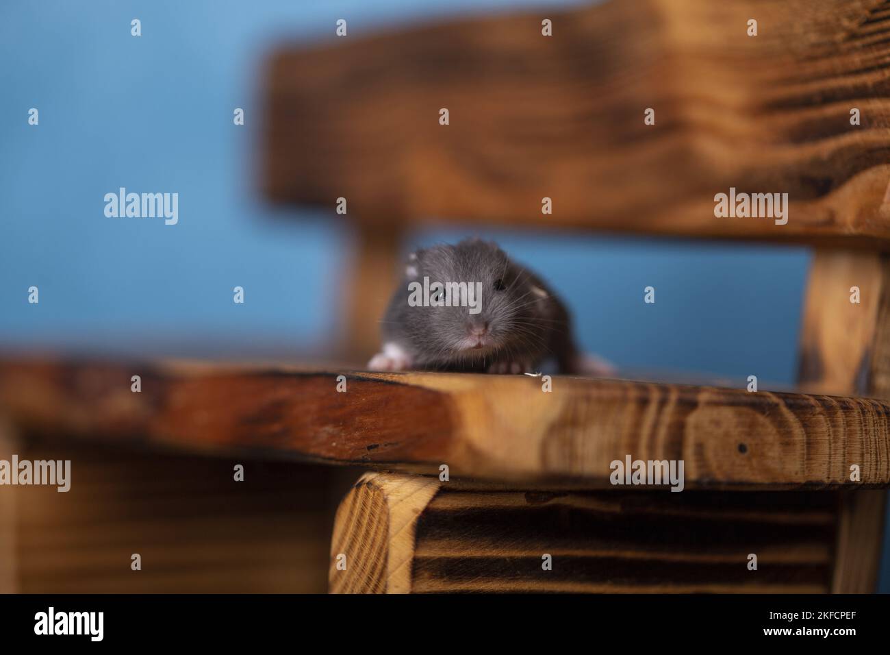 Campbells bank hi-res stock photography and images - Alamy