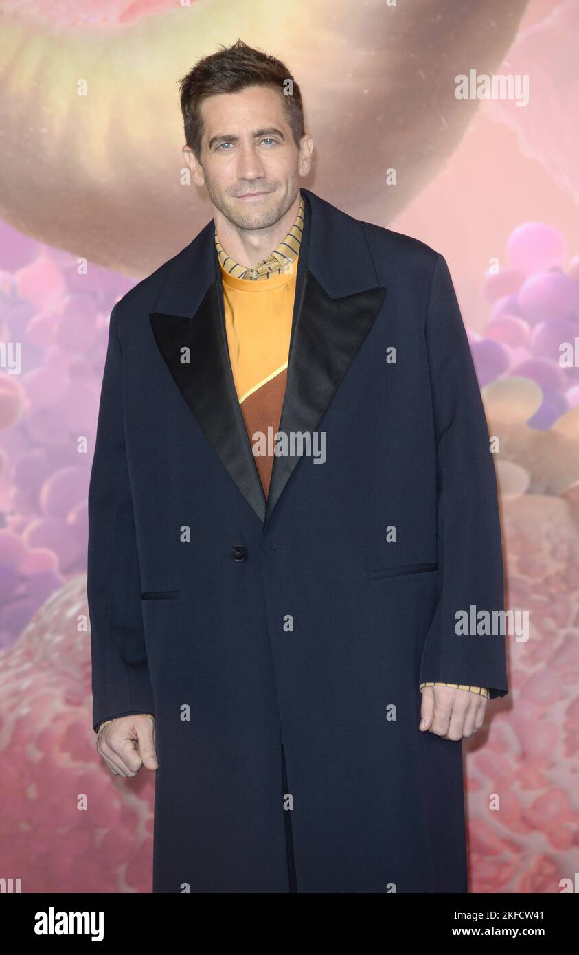 Photo Must Be Credited ©Alpha Press 078237 17/11/2022 Jake Gyllenhaal ...