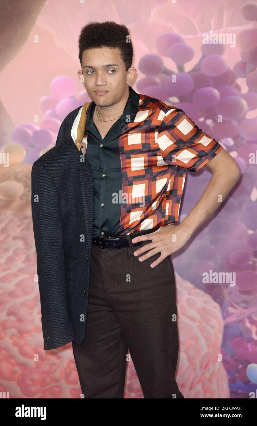 Photo Must Be Credited ©Alpha Press 078237 17/11/2022 Thomas Young ...