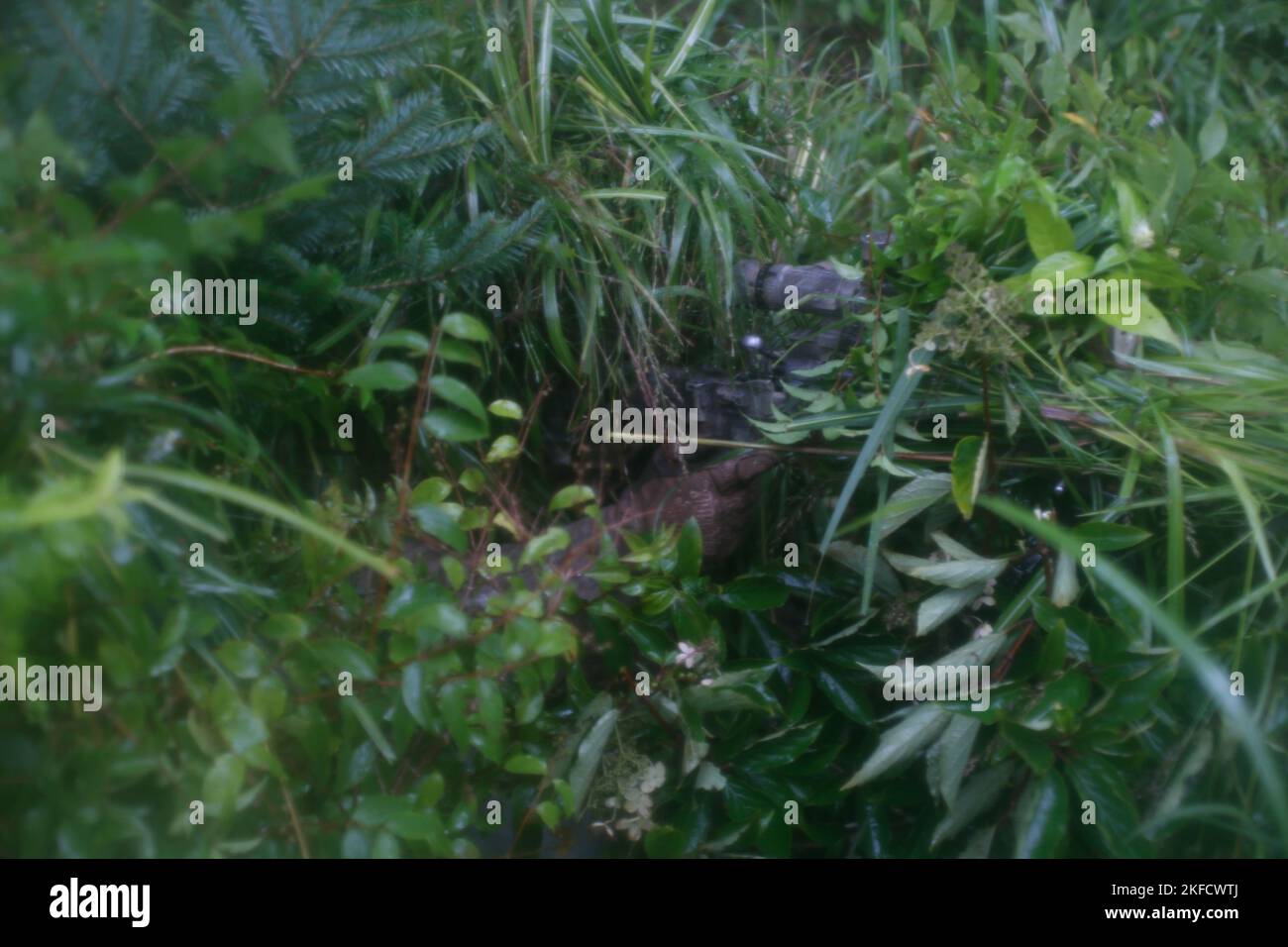 U.S. Marine Corps Lance Cpl. Zackary O’Neil, a scout sniper with 3d ...