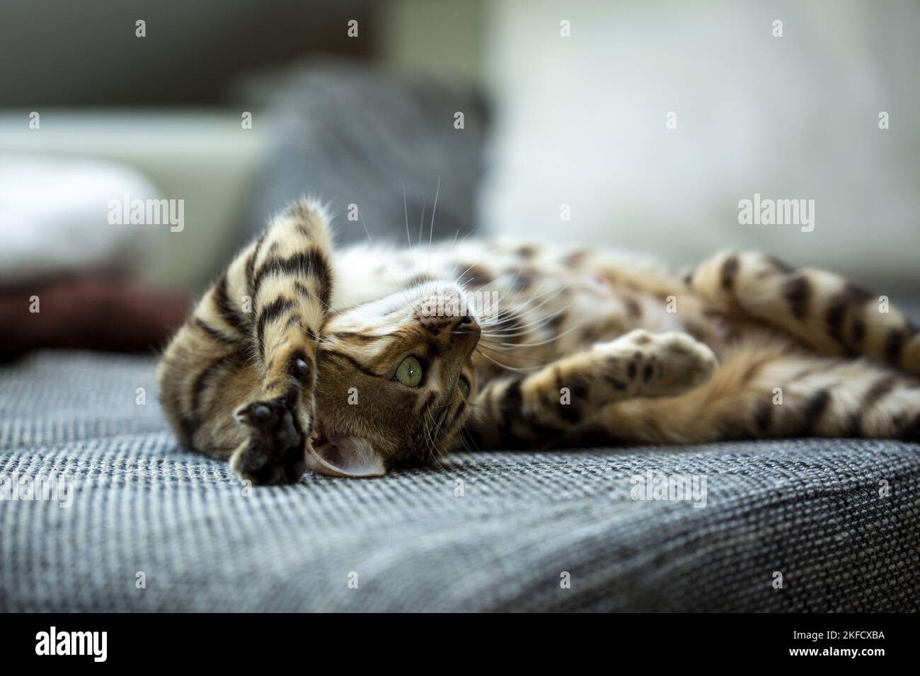 Supine view hi-res stock photography and images - Alamy