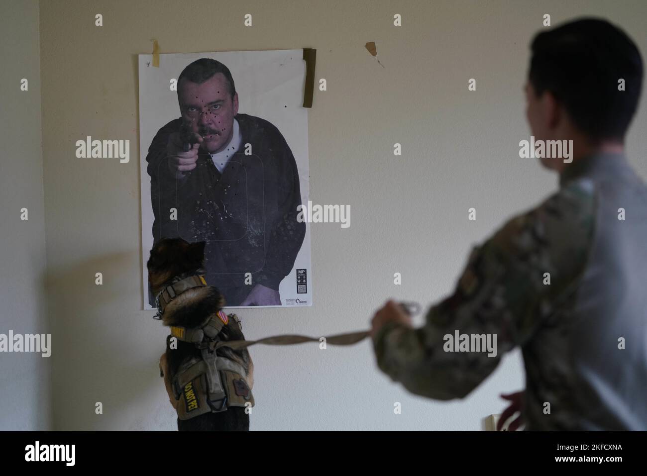 U.S. Air Force Staff Sgt. Tyler, assigned to the 432nd Security Forces ...