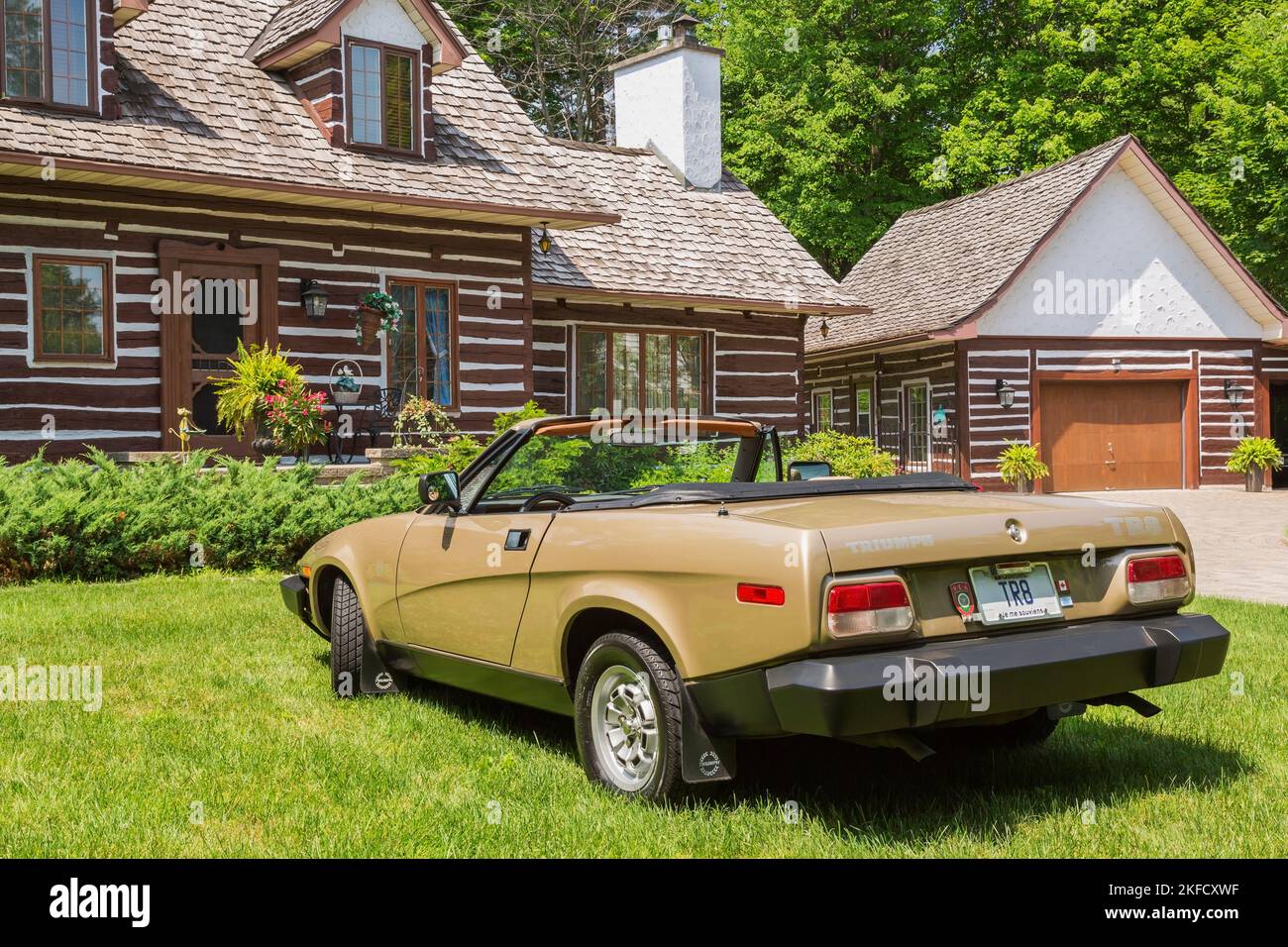 1980 midas-gold convertible Triumph TR8 parked on grass lawn in front ...