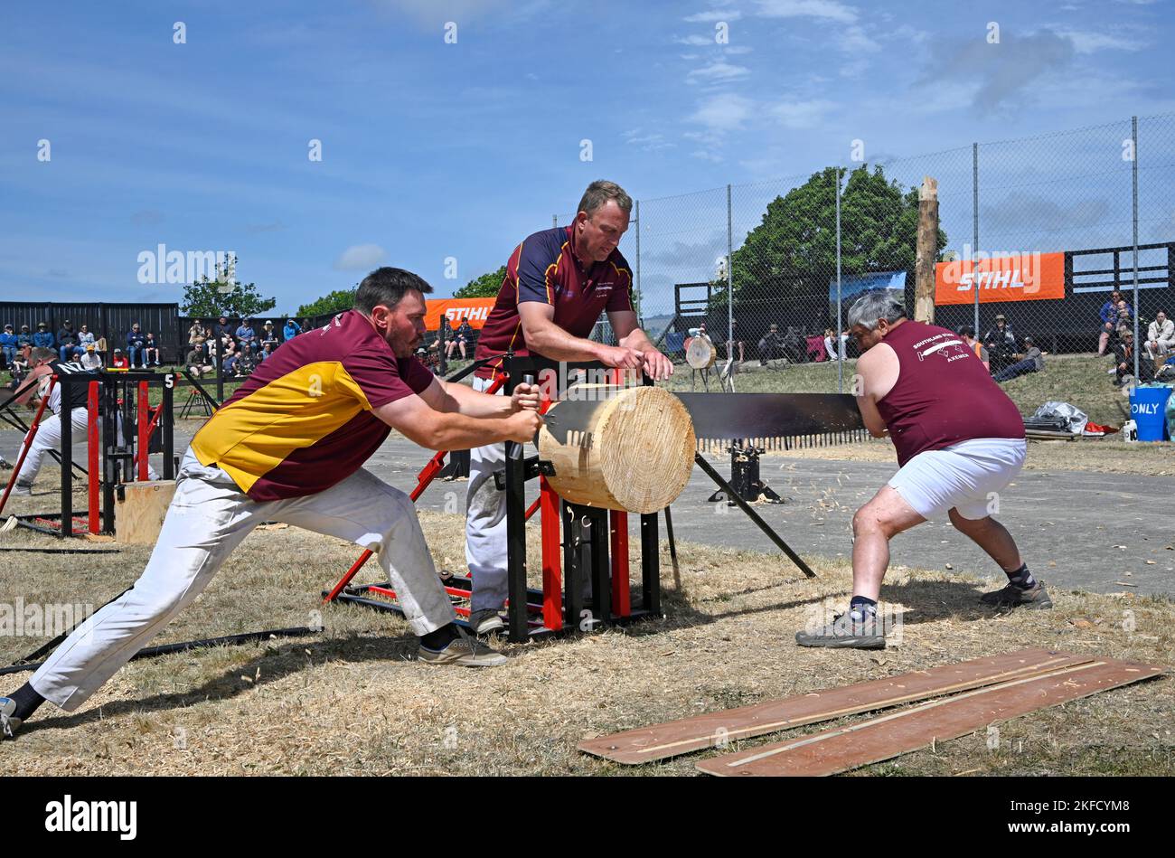 Christchurch; New Zealand - November 11; 2022; Woodchopping - half way ...