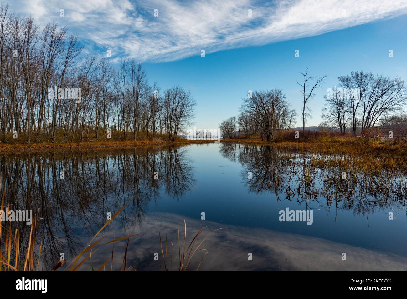 Petrie island canada hi-res stock photography and images - Alamy