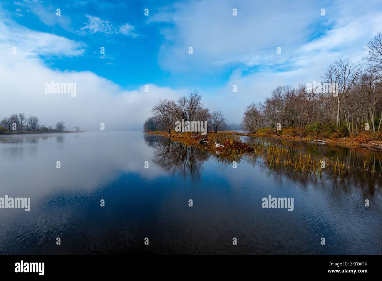 Ile petrie hi-res stock photography and images - Alamy