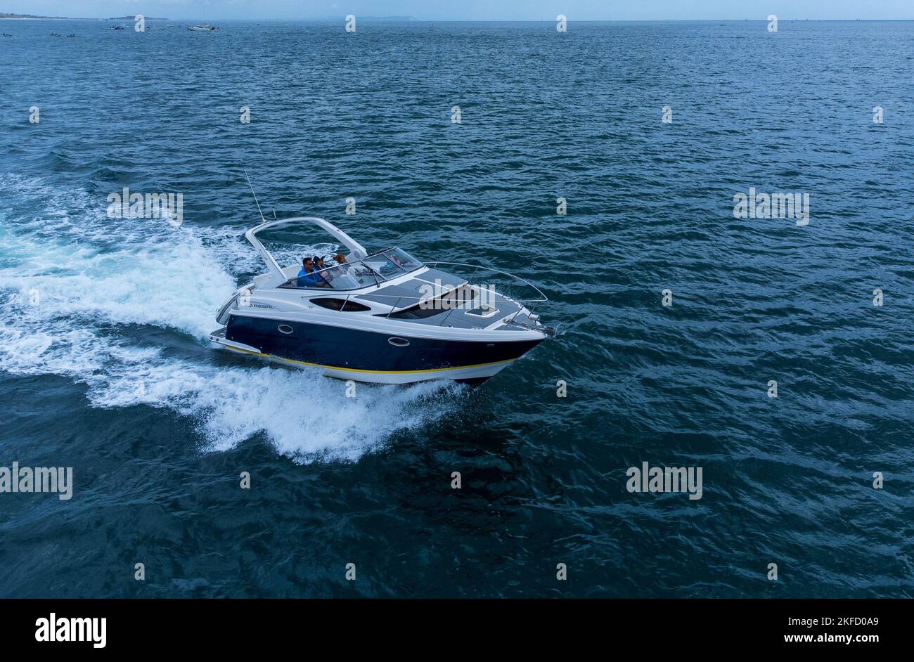A group of tourists on a speedboat across the sea with a dog on board ...