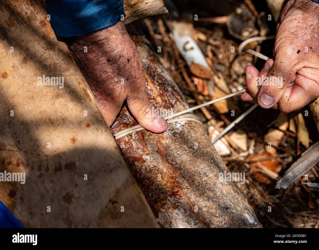 Greg Stratton, a senior research expert assigned to the Defense POW/MIA ...